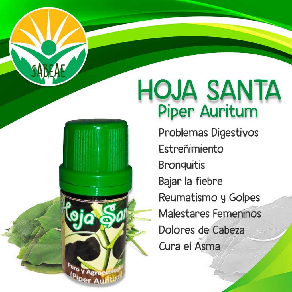 Aceite esencial hoja santa – Sabeae – Canasta Virtual Mercado ...