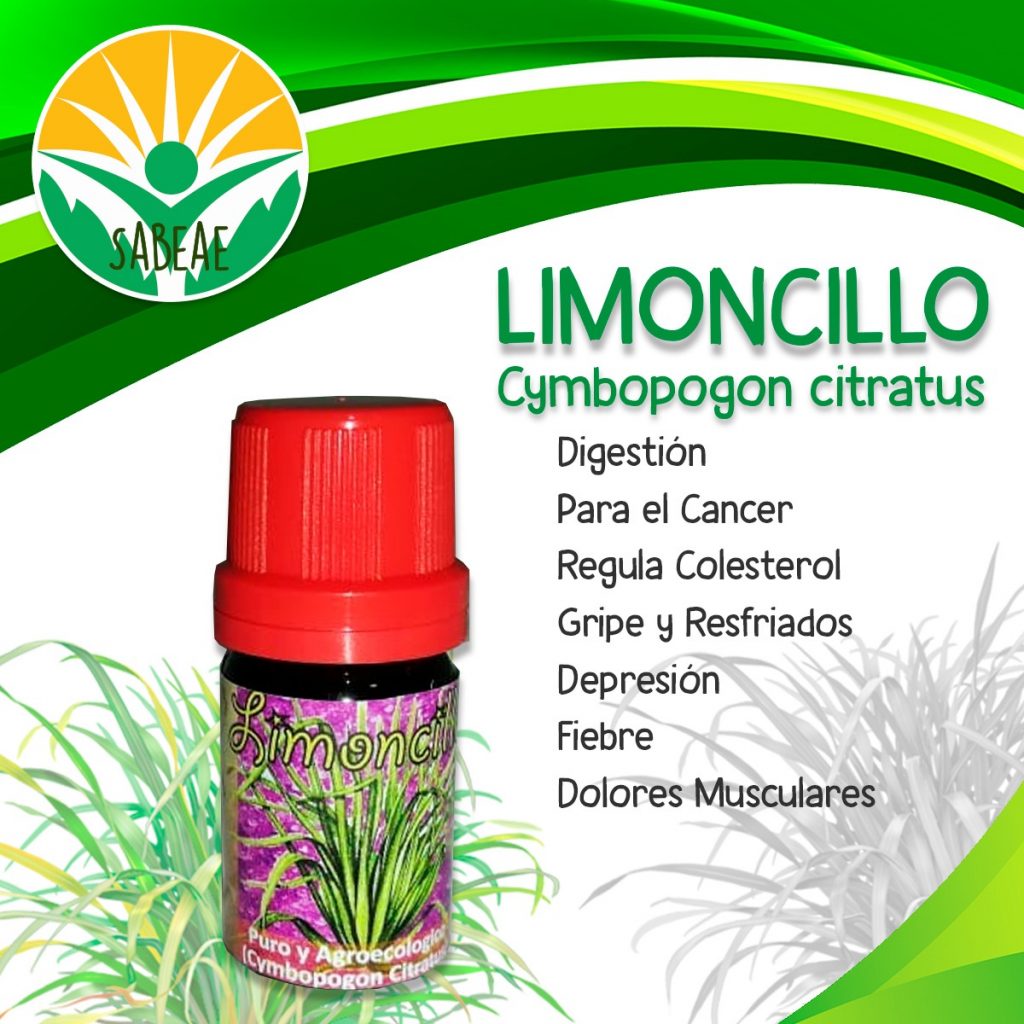 Aceite esencial limoncillo – Sabeae – Canasta Virtual Mercado ...