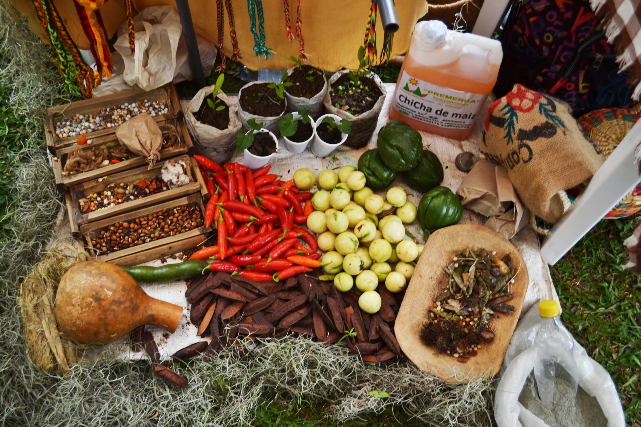 Agroecológicos transformados – Mercado Agroecológico